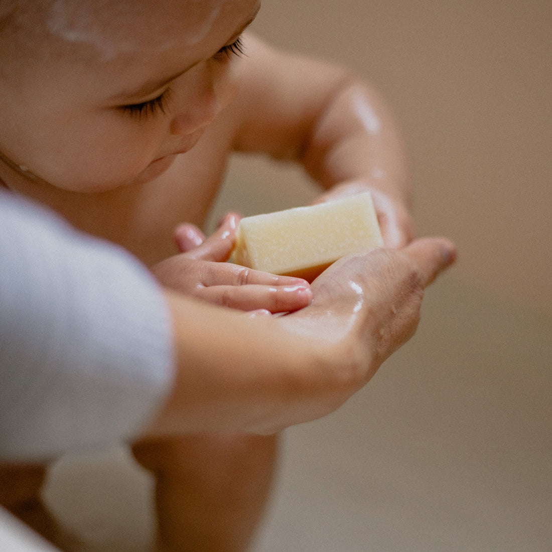 Conditioner Bars and Solid Conditioners Ethique